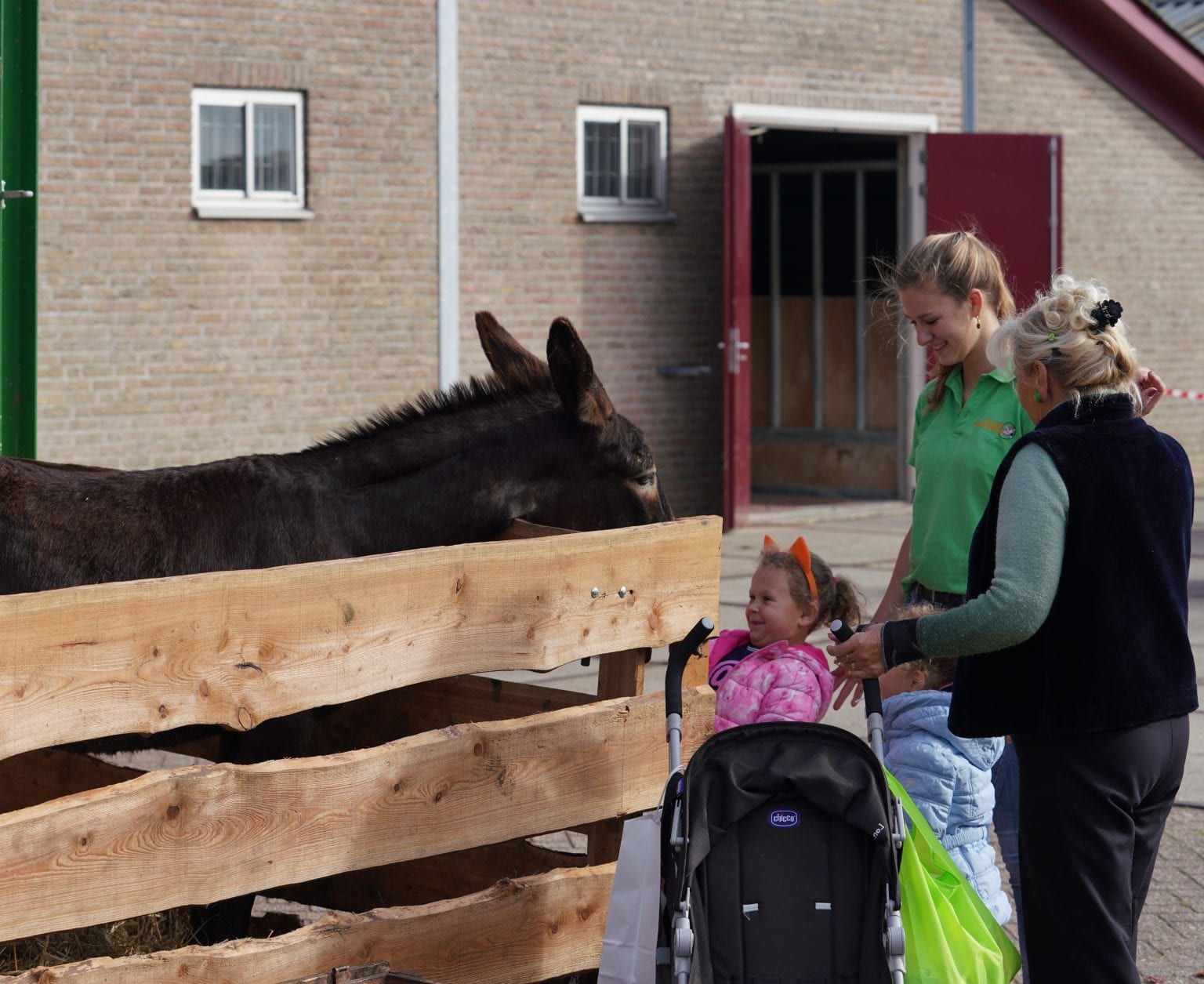 Zorg- en kinderboerderij | Diernartsen